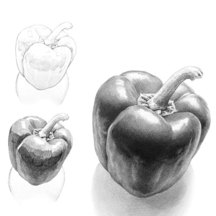 Pencil Sketch